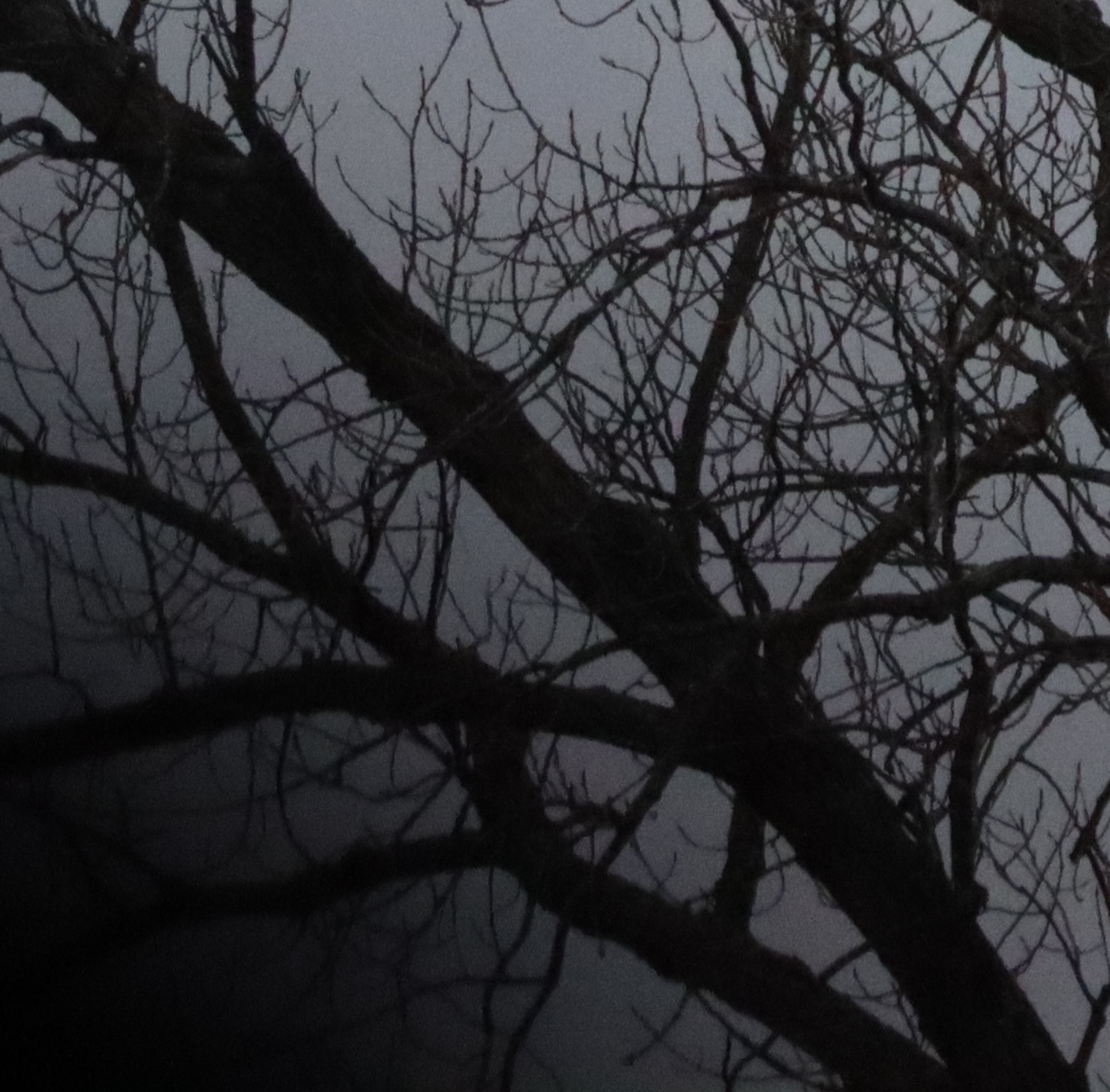 Solved: shadow in pic manual mode only - EOS 90D - Canon Community