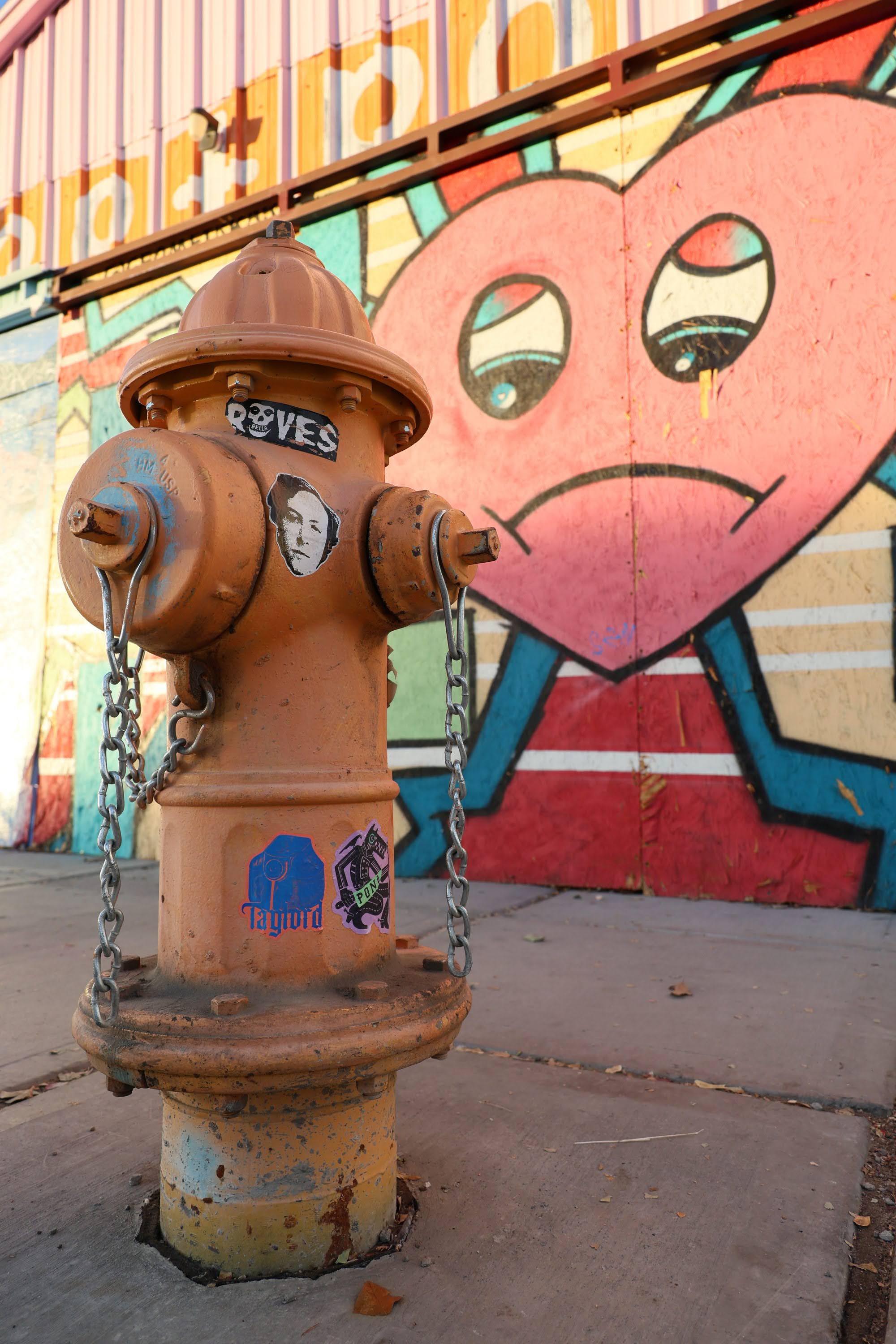 Low budget RF lens recommendations - Canon Community