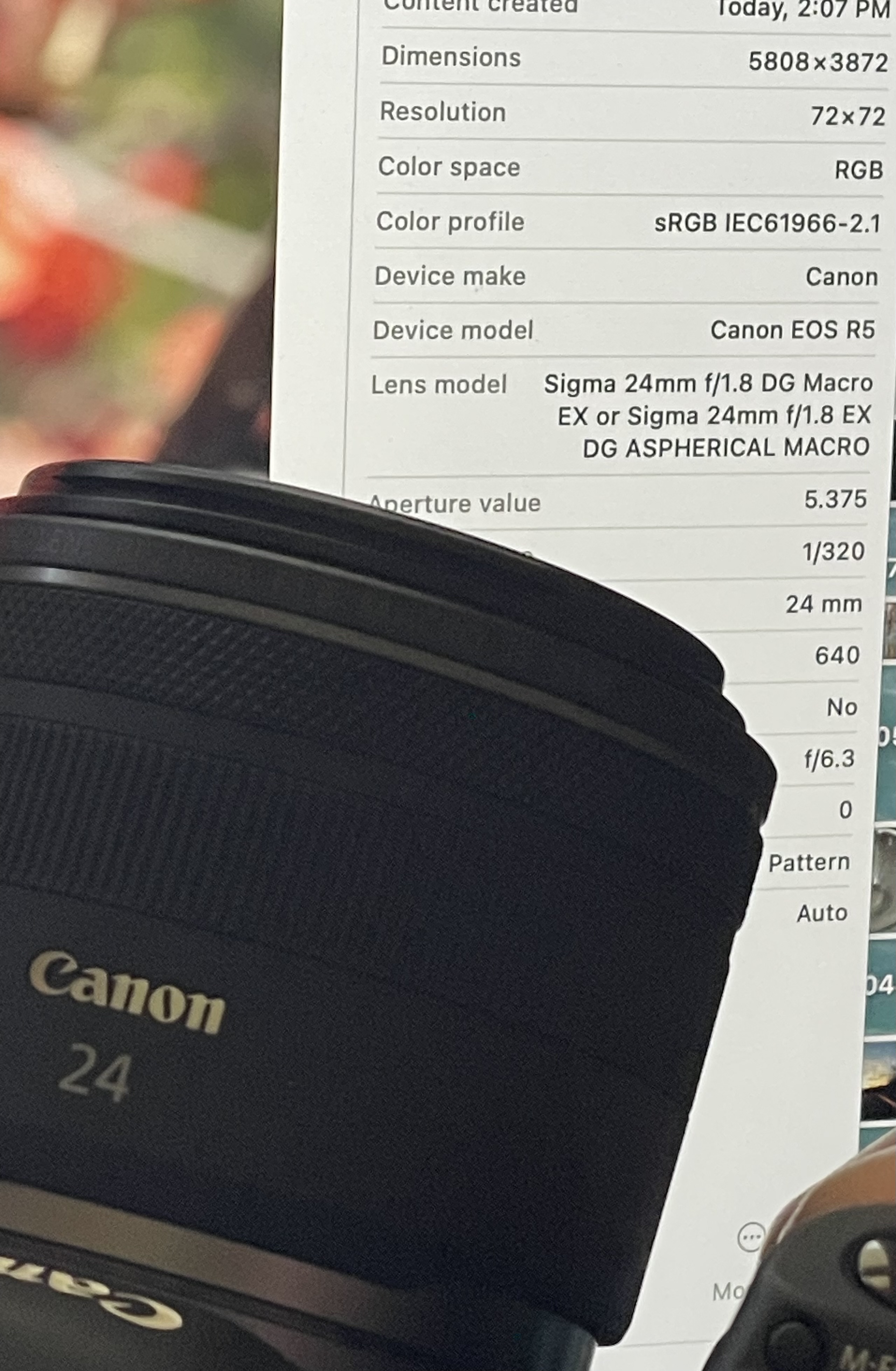 EOS R5 EXIF data misreports Canon lens as a Sigma ... - Canon Community