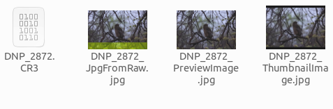 Solved: Corrupted CR3 files produced with R6 + firmware 1.... - Canon ...