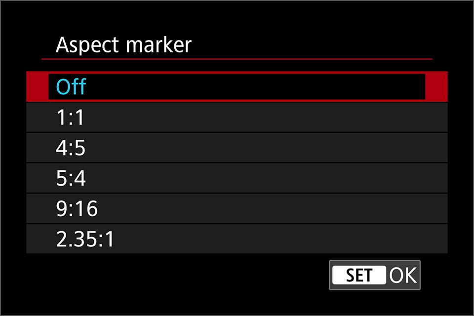 Solved: Re: R6 mark 2 - cannot find aspect markers - Canon Community