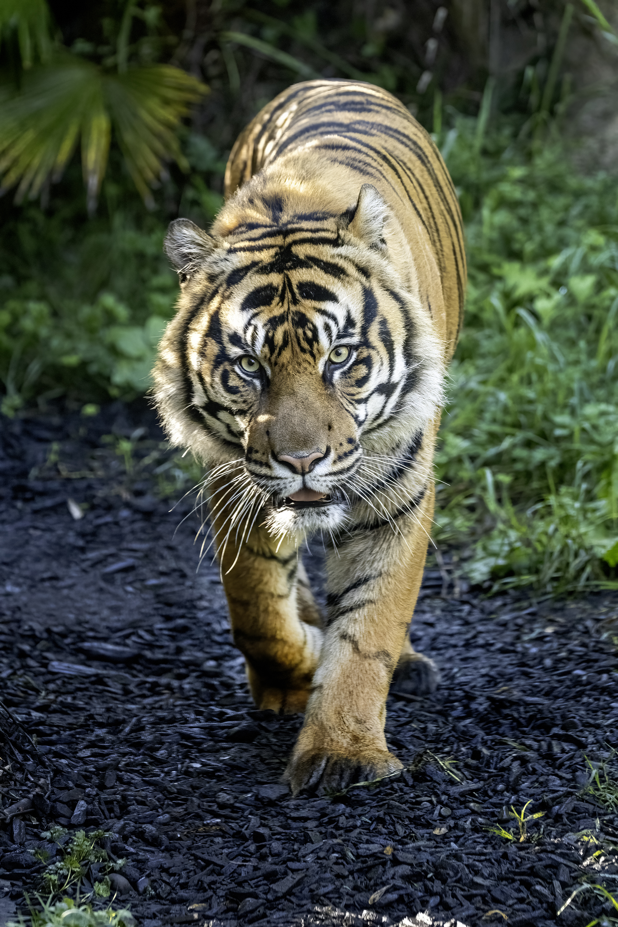 Is there Much Difference in Quality and FoV? - Page 2 - Canon Community