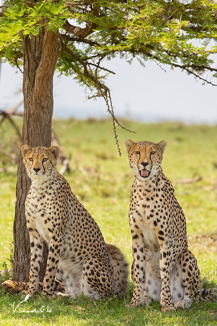 A perfect pose - Canon Community