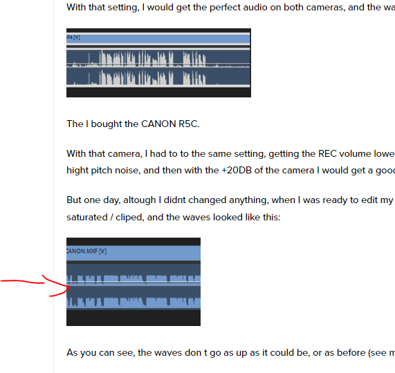 CANON R5C: Manual Rec Level Issue (getting crazy h... - Canon Community