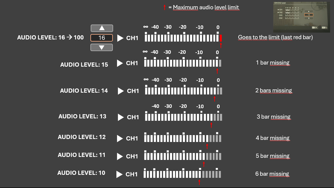 CANON R5C: Manual Rec Level Issue (getting crazy h... - Canon Community