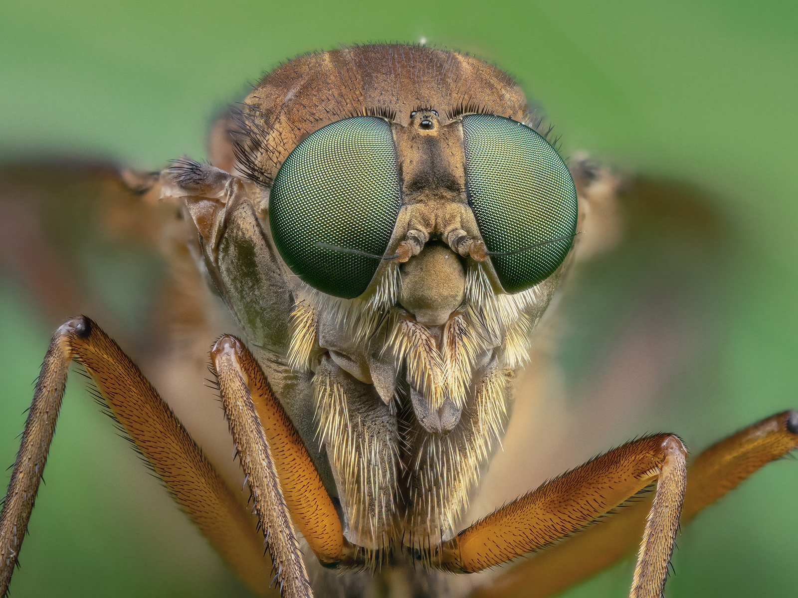 R7 Focus Stacking forces electronic shutter - Canon Community