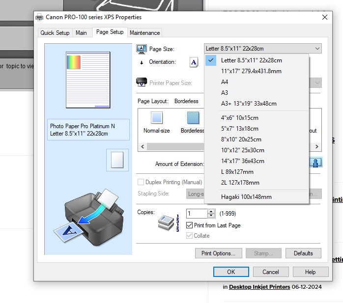 PIXMA PRO-10: Custom Borderless Printing paper siz... - Canon Community