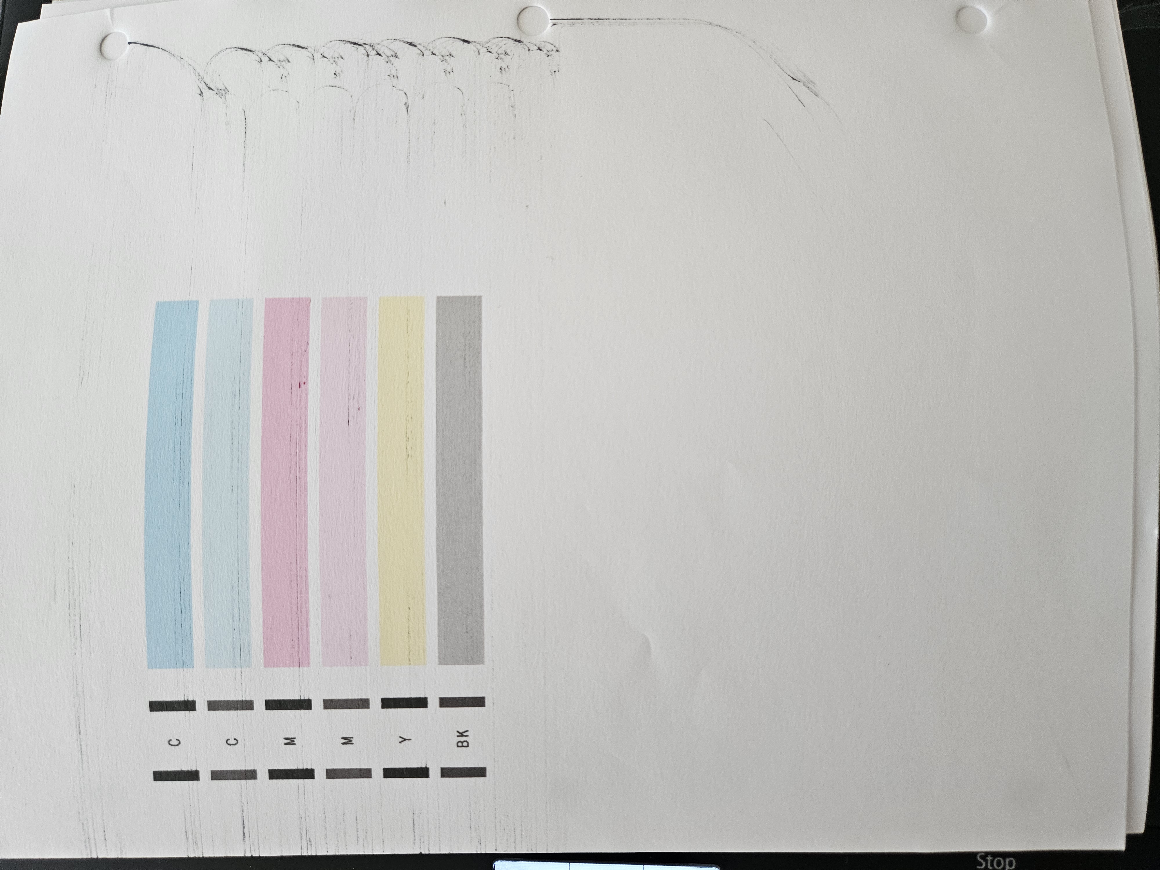 Canon TS5020 Black streaks/smudging - Canon Community