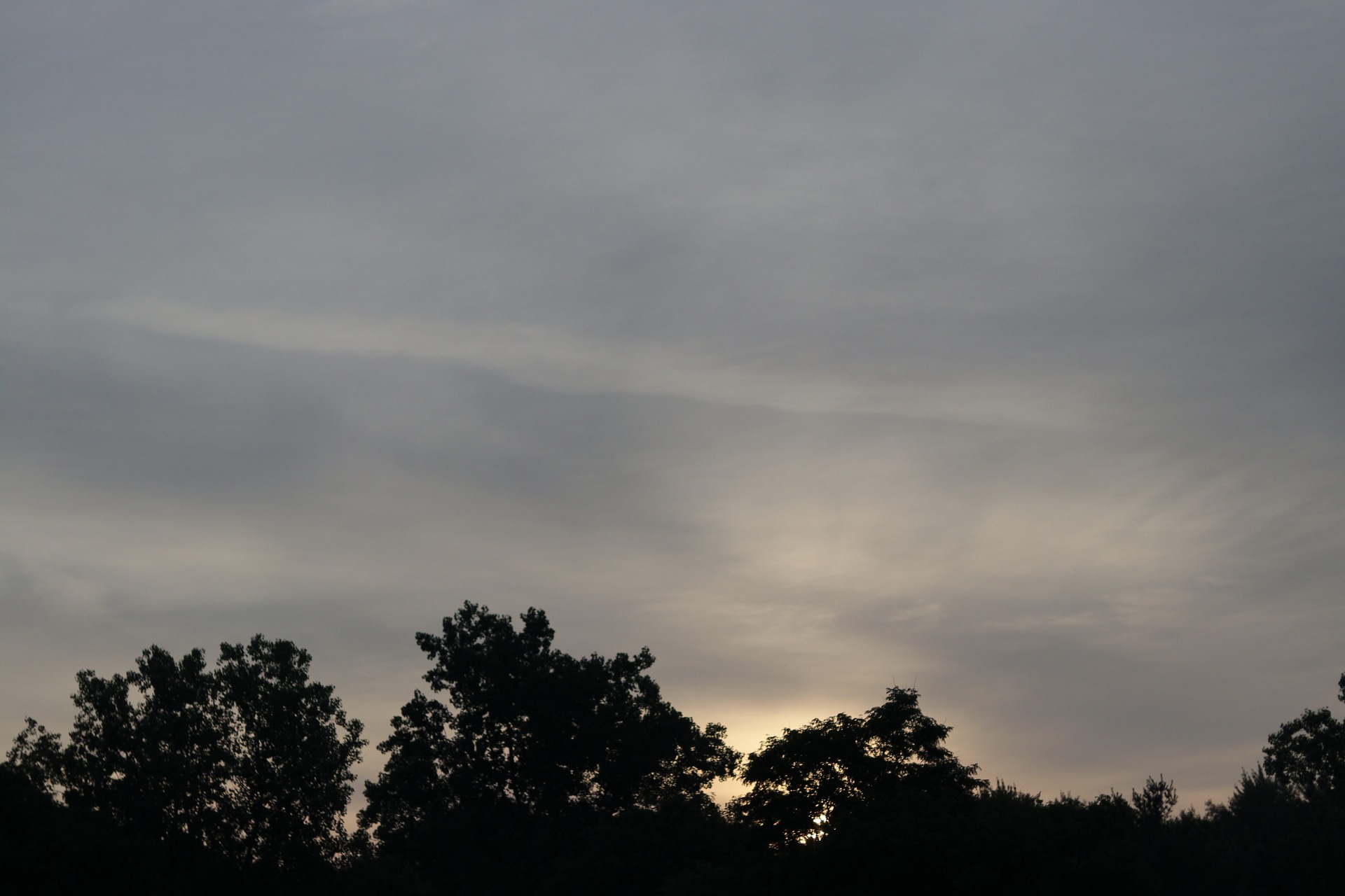 EOS 90D - Canon Community