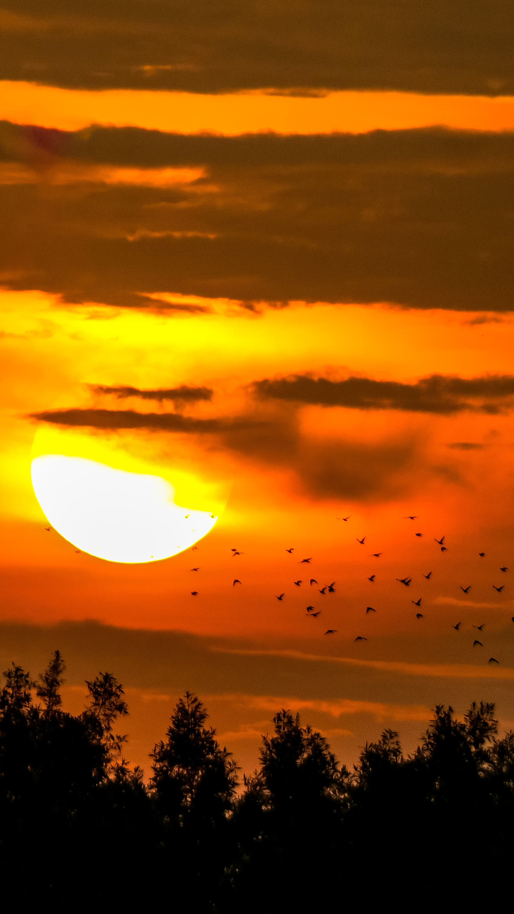 Sunset - Canon Community