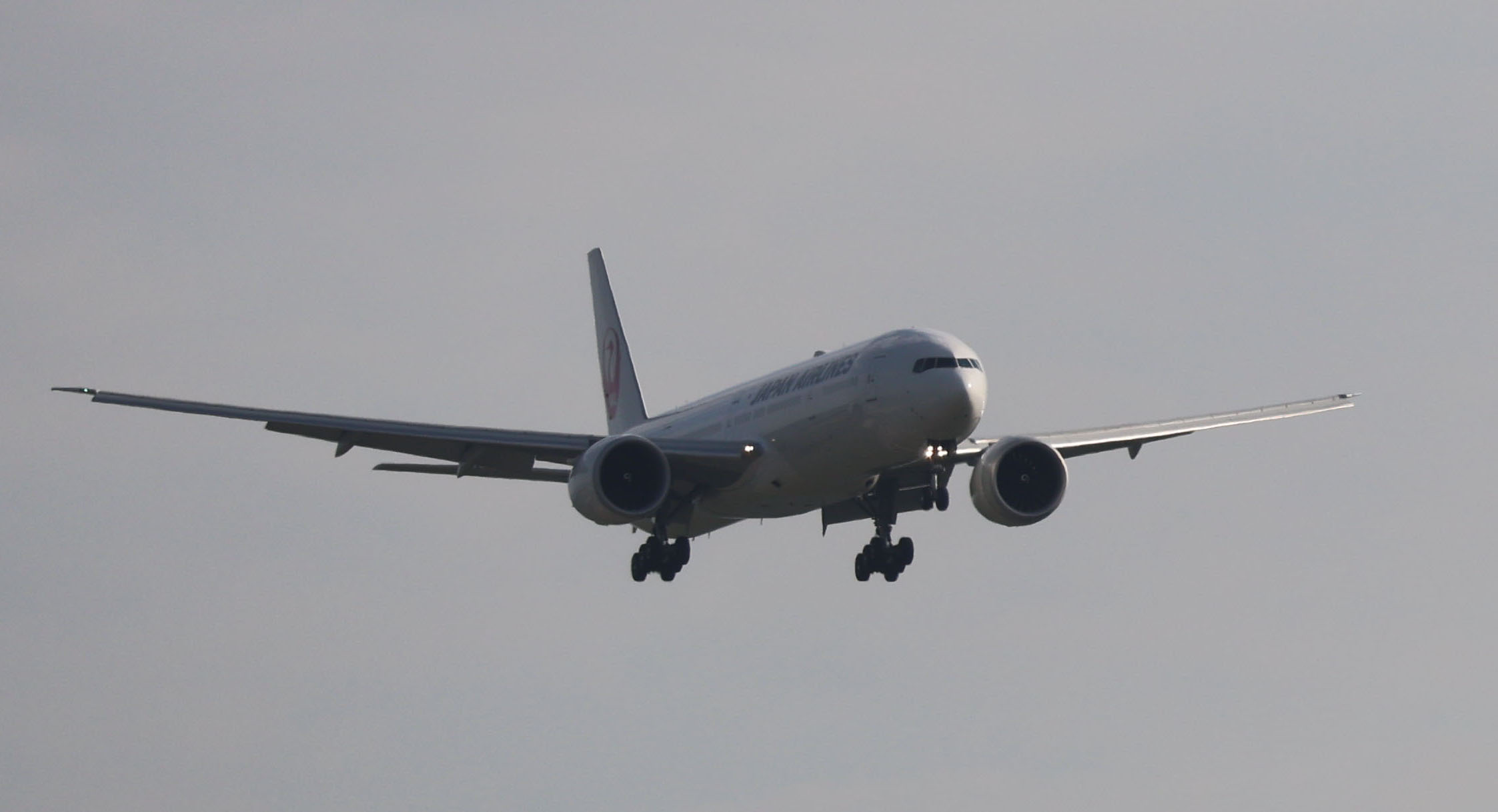 Cleared for landing - Canon Community