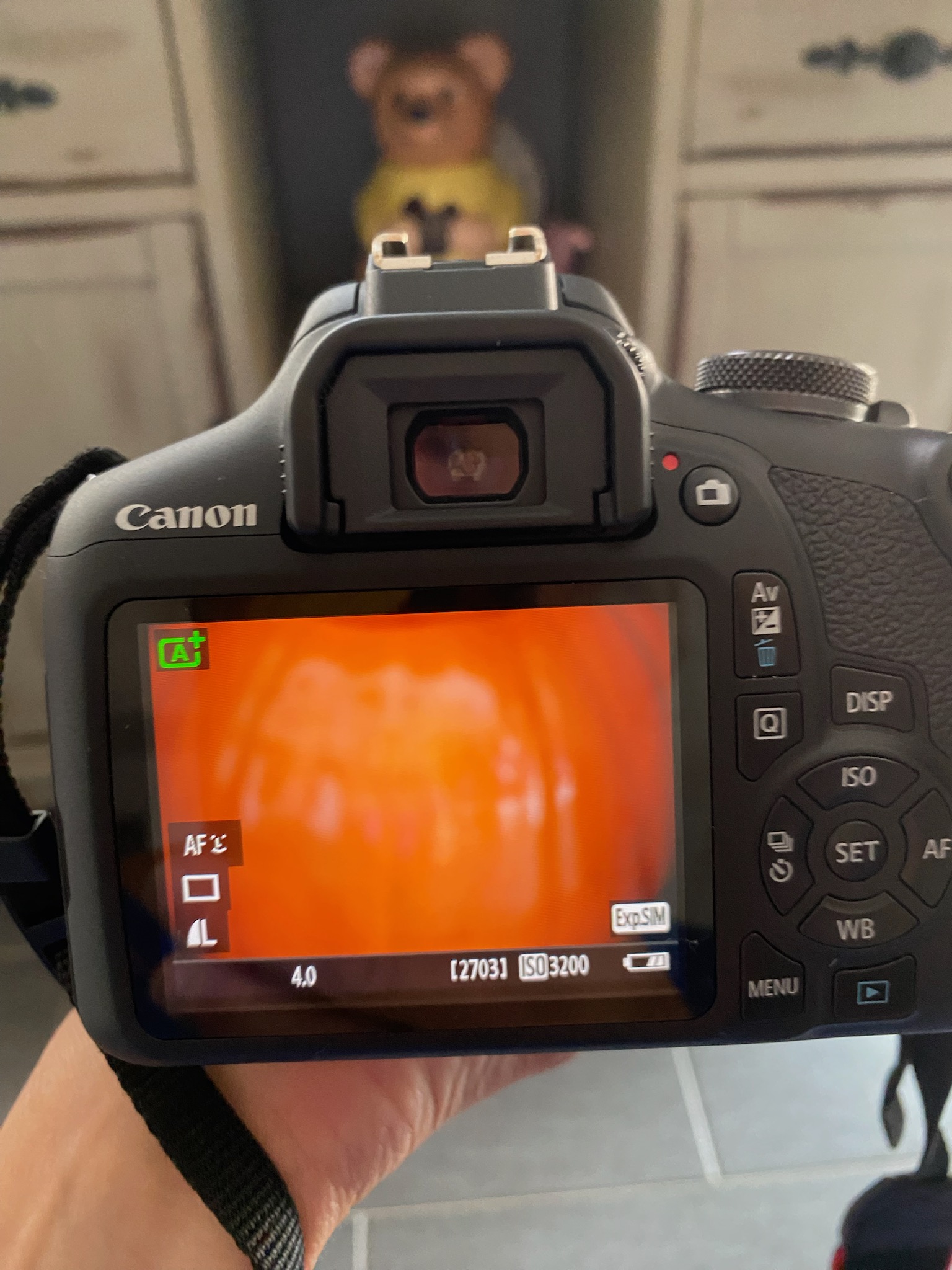 Solved: Canon Rebel T7 not taking pictures in AF mode - Canon Community
