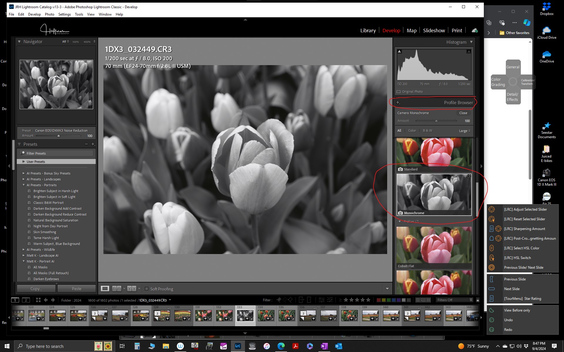 Solved: EOS 5D: Image capture "QUALITY" settings - Canon Community