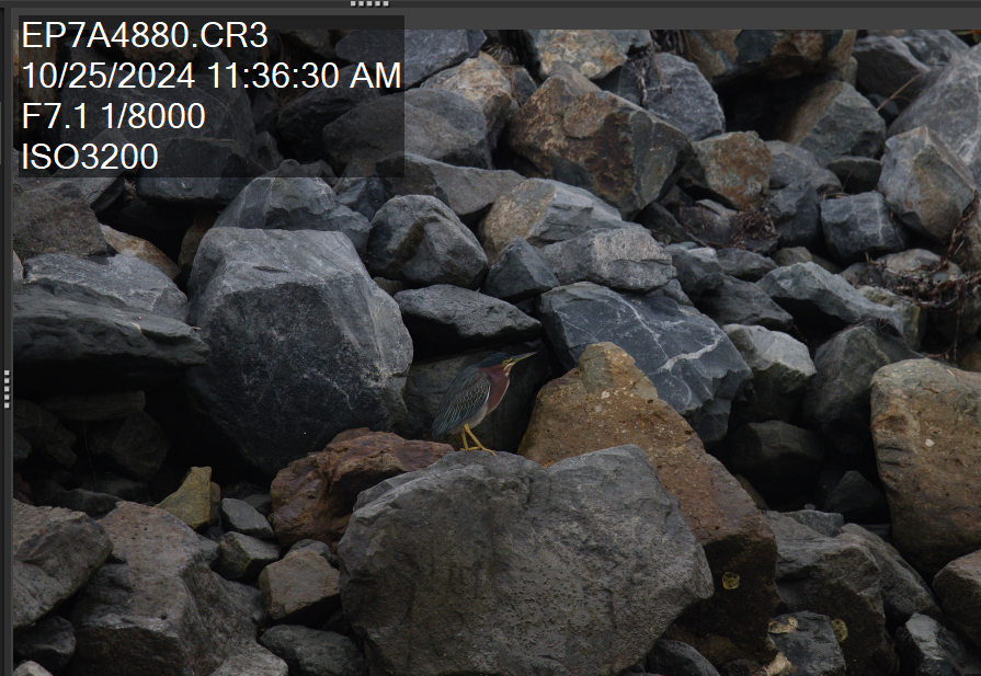 How to get better picture quality with the r5 100-... - Canon Community