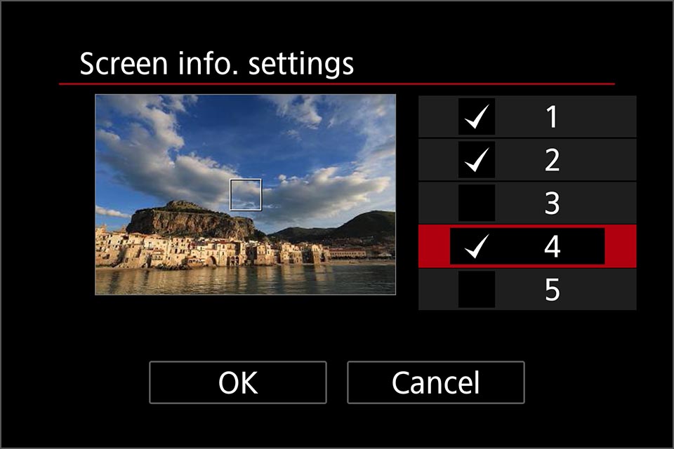 Solved: EOS R10 - Can Not See Graphic Screen Through Viewf... - Canon ...