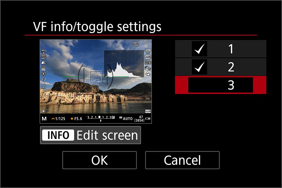 Solved: EOS R10 - Can Not See Graphic Screen Through Viewf... - Canon ...