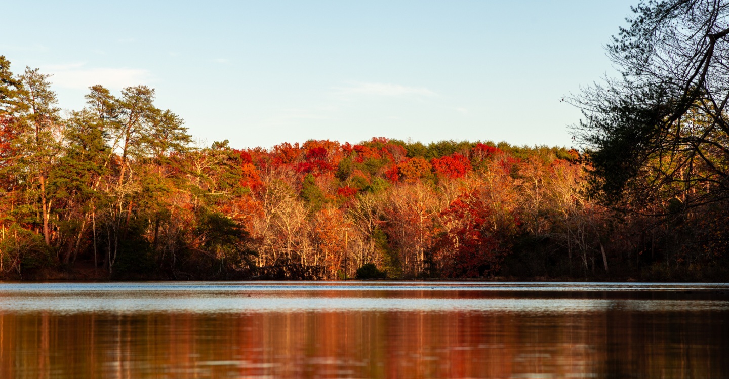 Fall Foliage - Canon Community