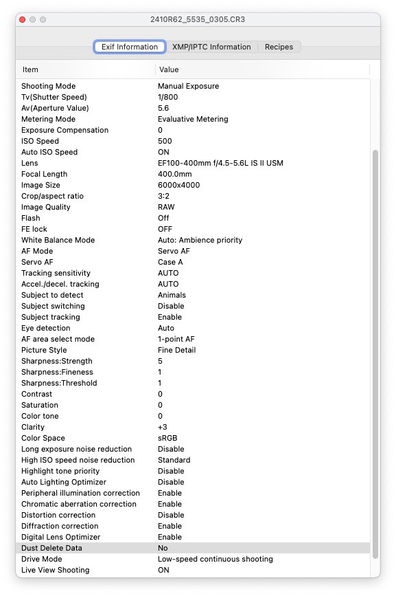 EOS R6 Vertical lines in background of photo - Canon Community