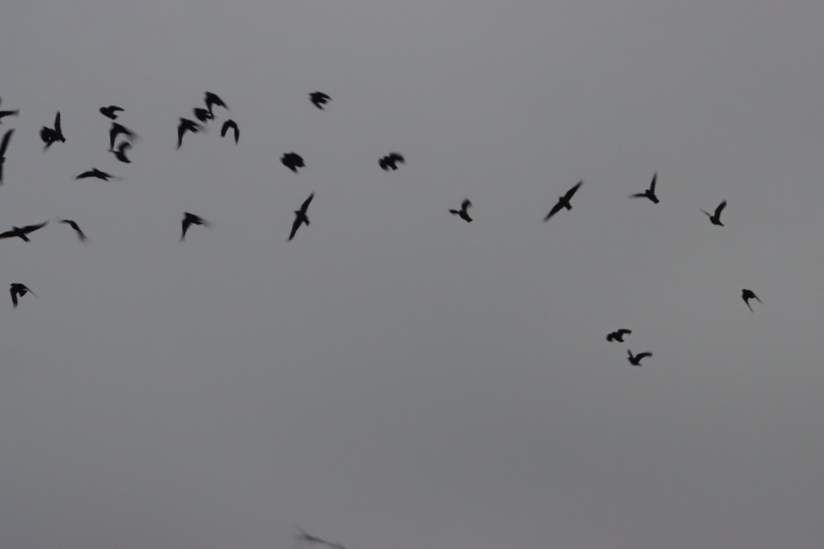 EOS 90D Nighttime handheld photography tips for M,... - Canon Community