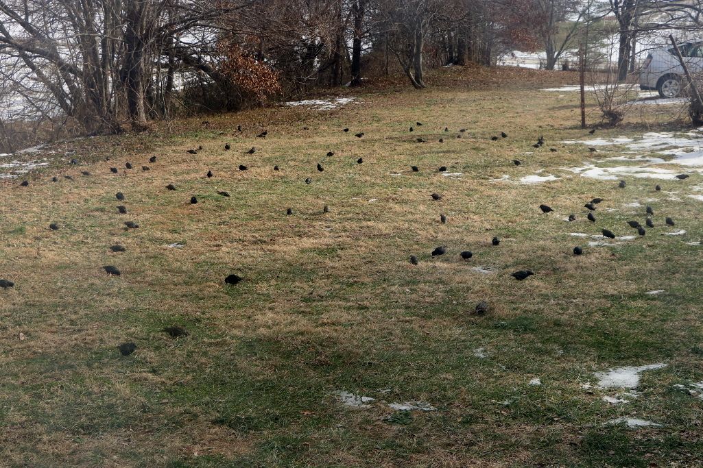 Ah yes. Melting snow - Canon Community