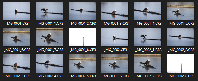 EOS Utility: RAW images are Renaming When download... - Canon Community