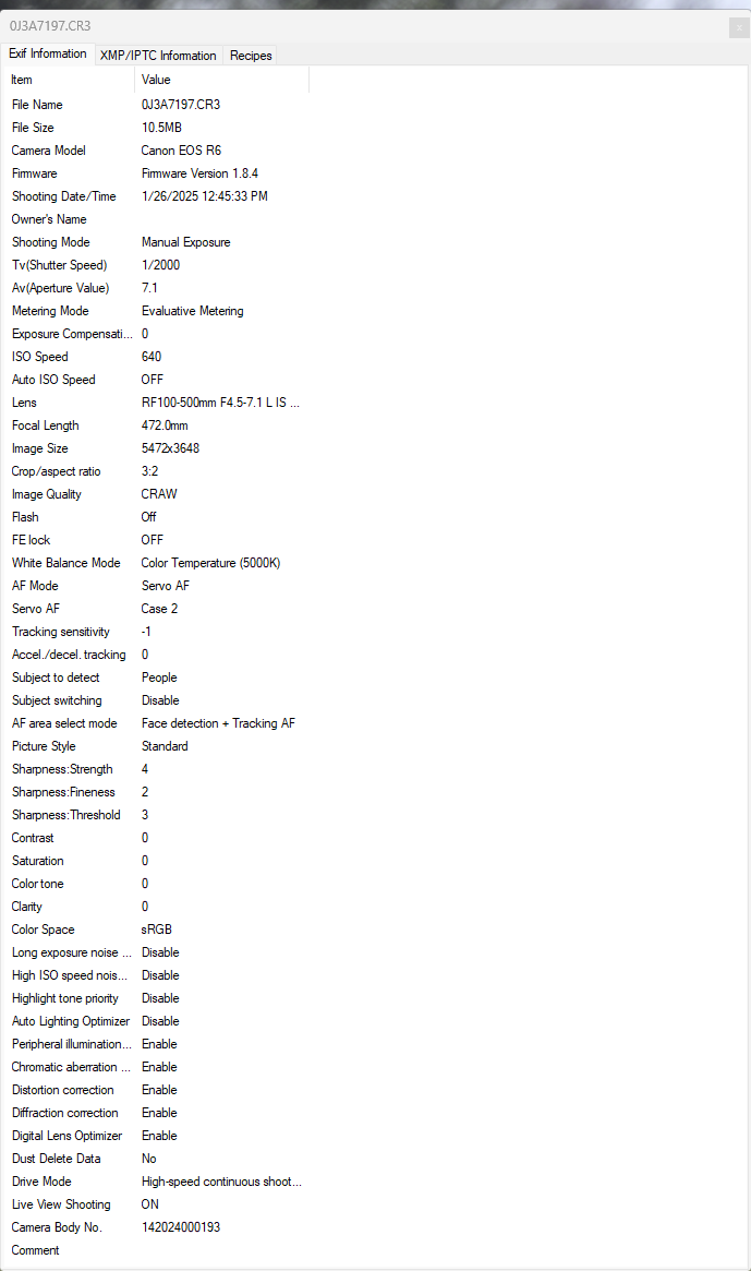 focus point question/inconsistent focus on R6 - Canon Community