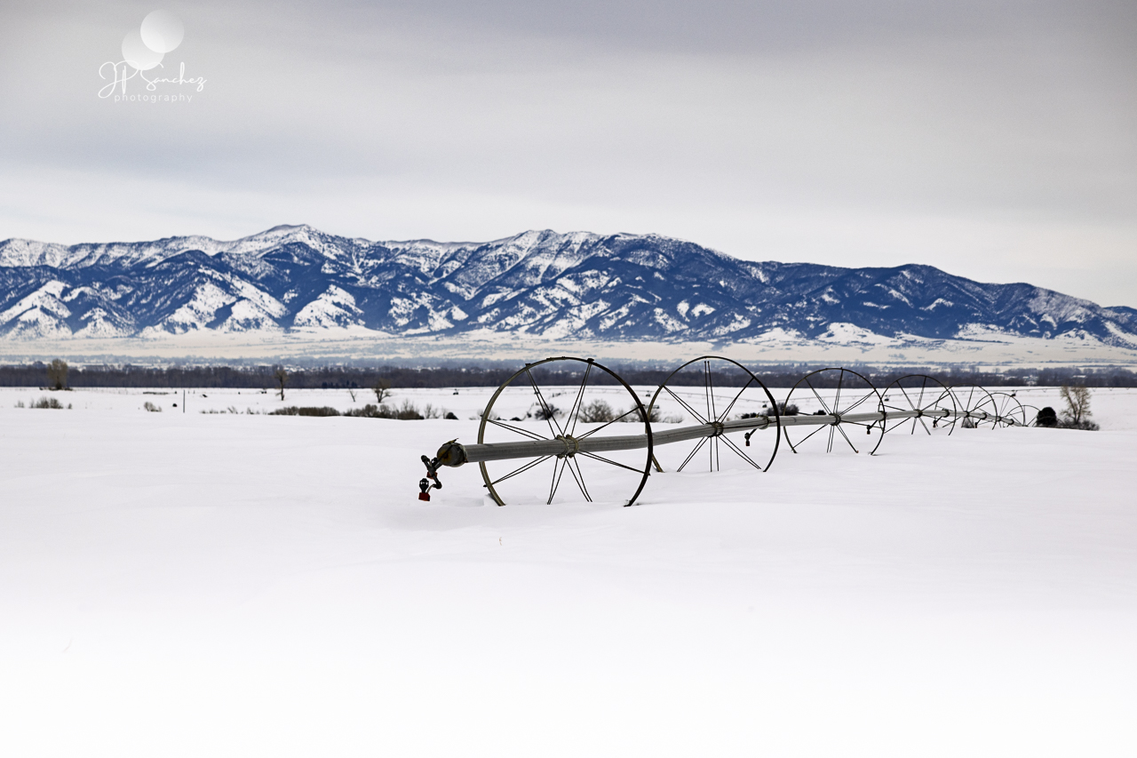 Snowy - Canon Community