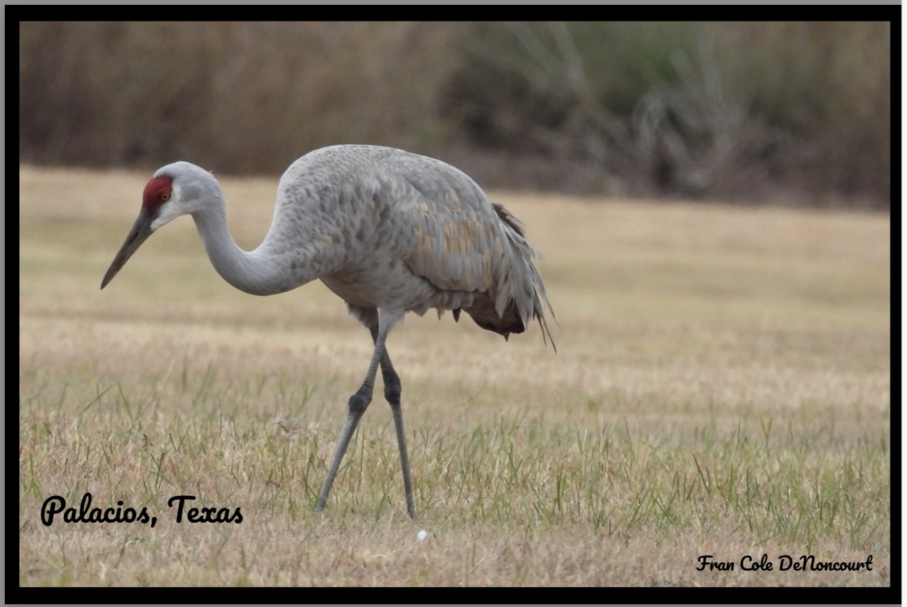 PIXMA TR8620a - Borderless Printing cuts off righ... - Canon Community