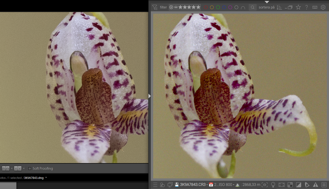 EOS R5 Terrible noise problem - Canon Community