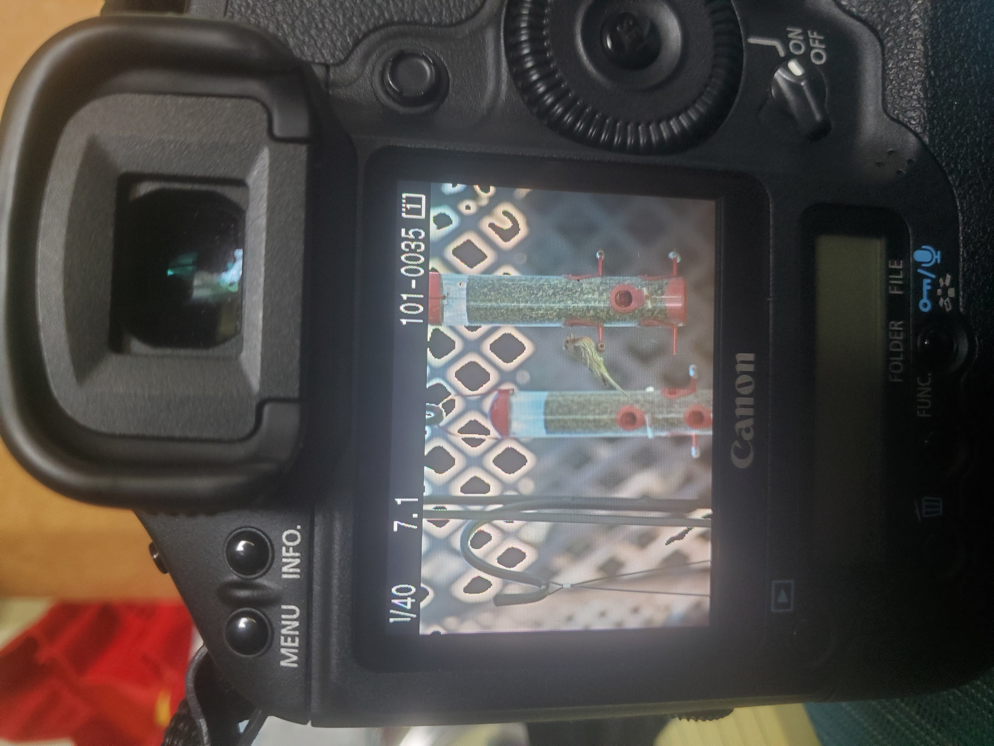 EOS 1Ds Mark III - LCD Screen monochrome 'ghost' - Canon Community
