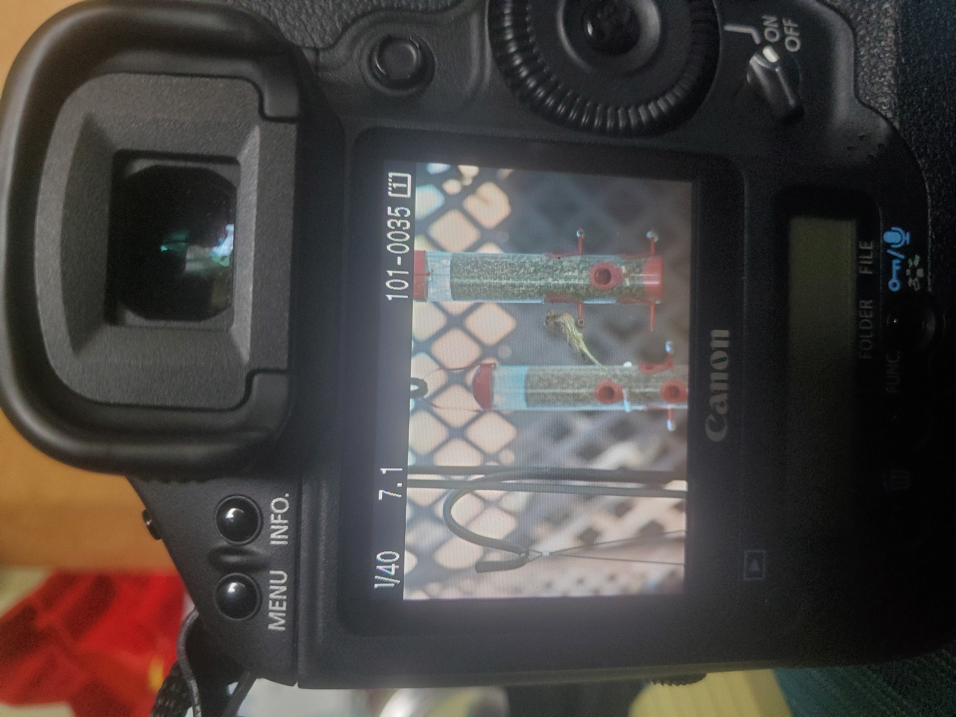 EOS 1Ds Mark III - LCD Screen monochrome 'ghost' - Canon Community