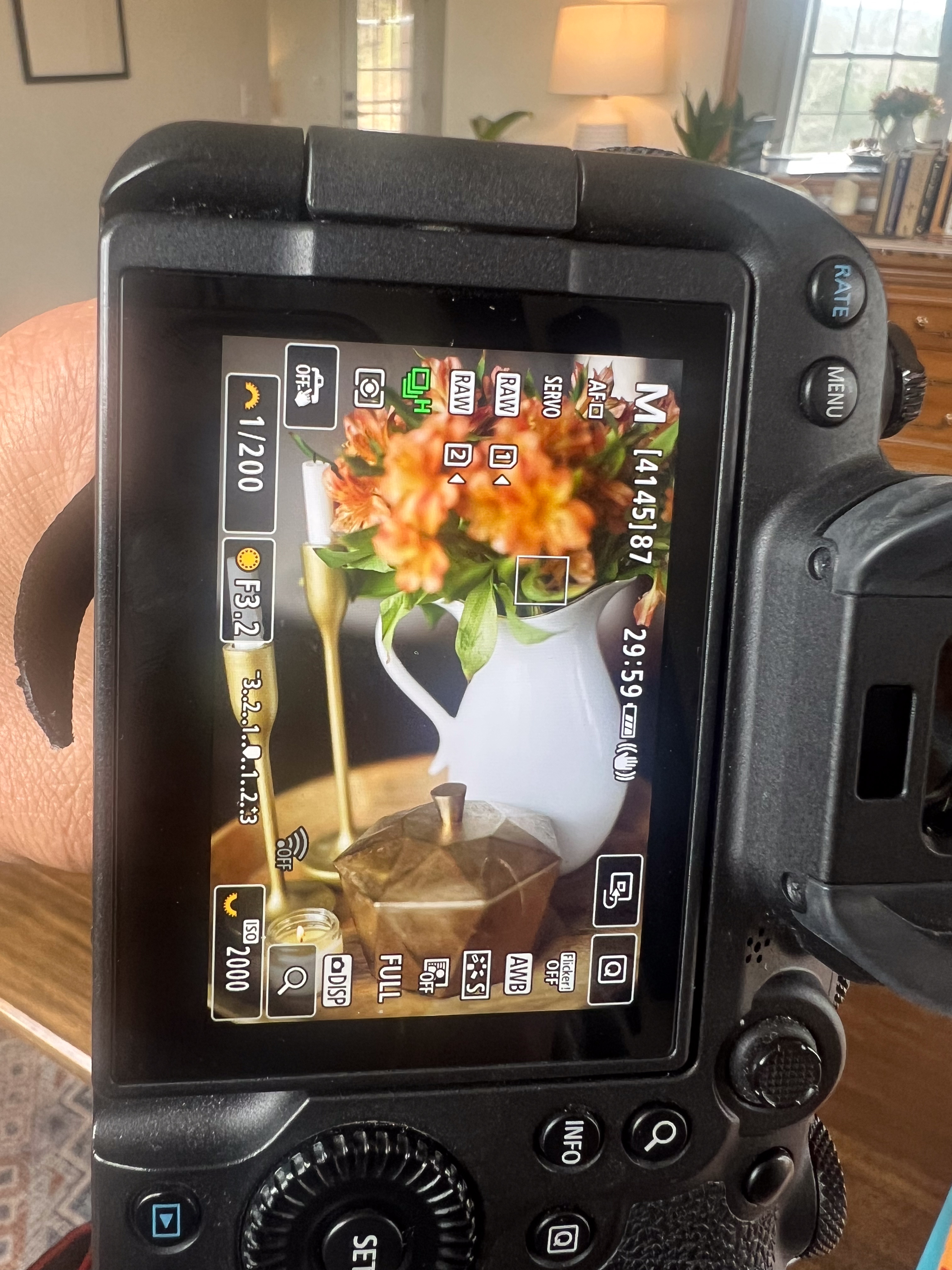 Solved: EOS R6 LCD screen doesn't reflect final image - Page 2 - Canon ...