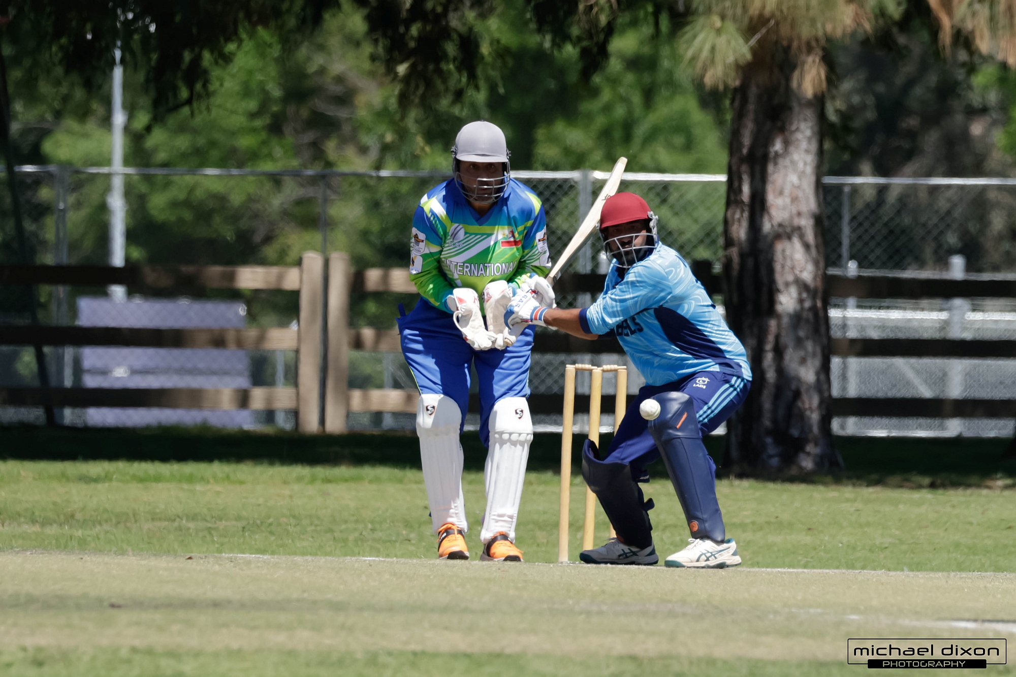 cricket - Canon Community