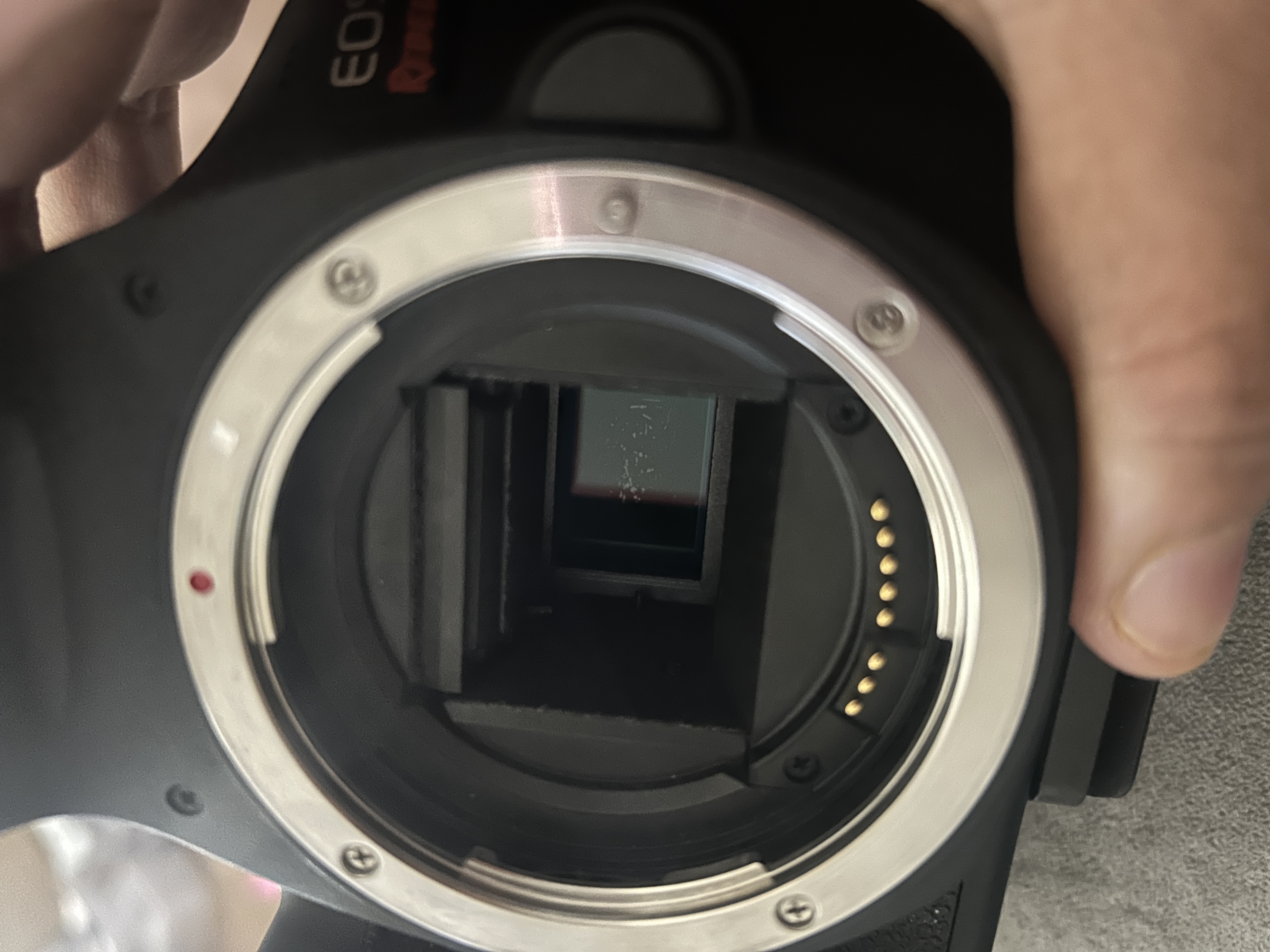 Canon rebel t7 sensor damage - Canon Community