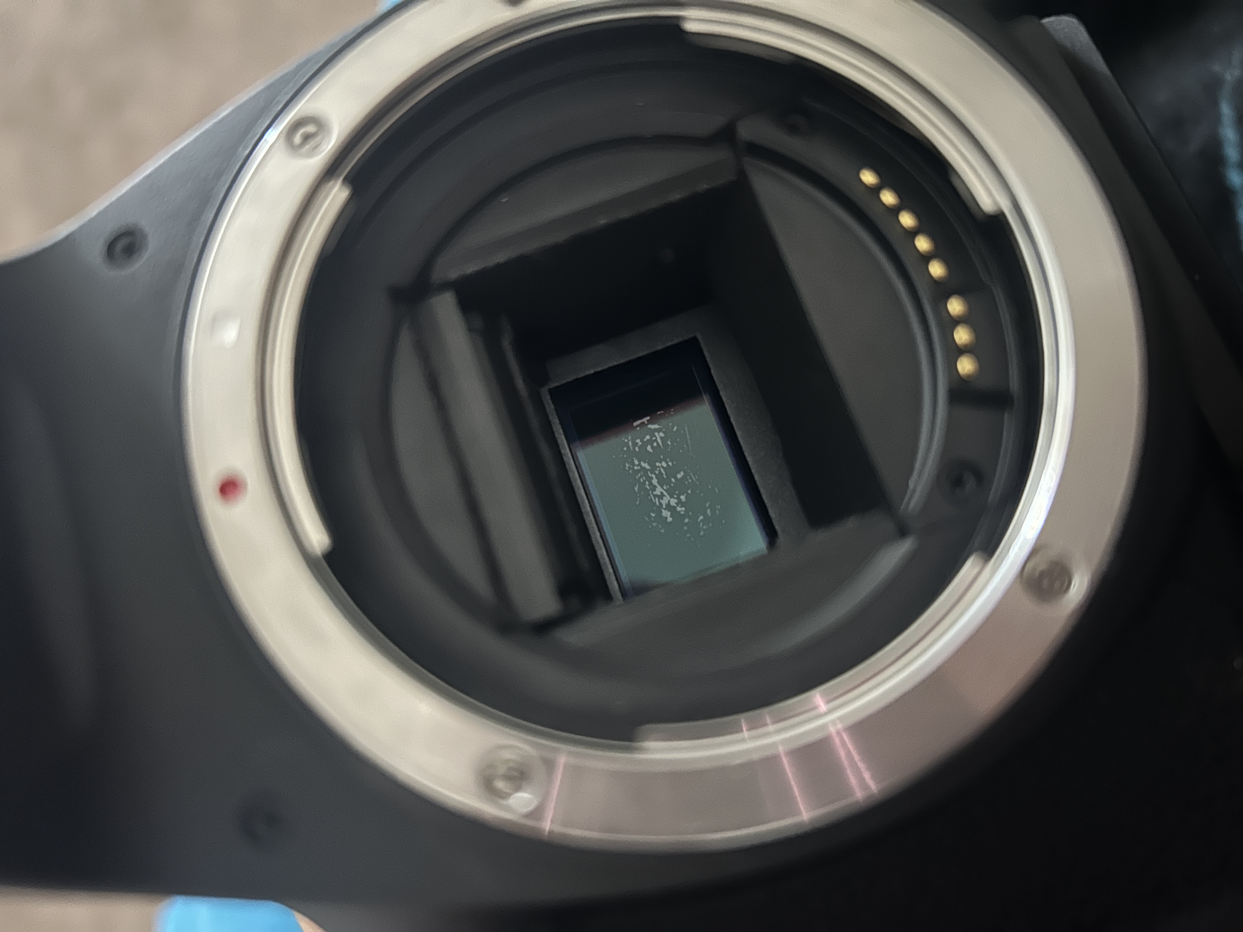 Canon rebel t7 sensor damage - Canon Community