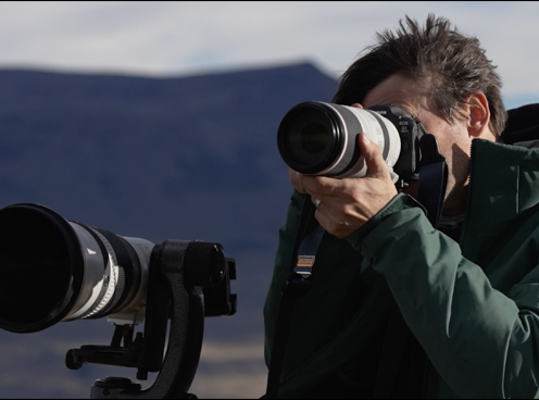Photographing Pumas with Canon Explorer of Light Keith Ladzinski