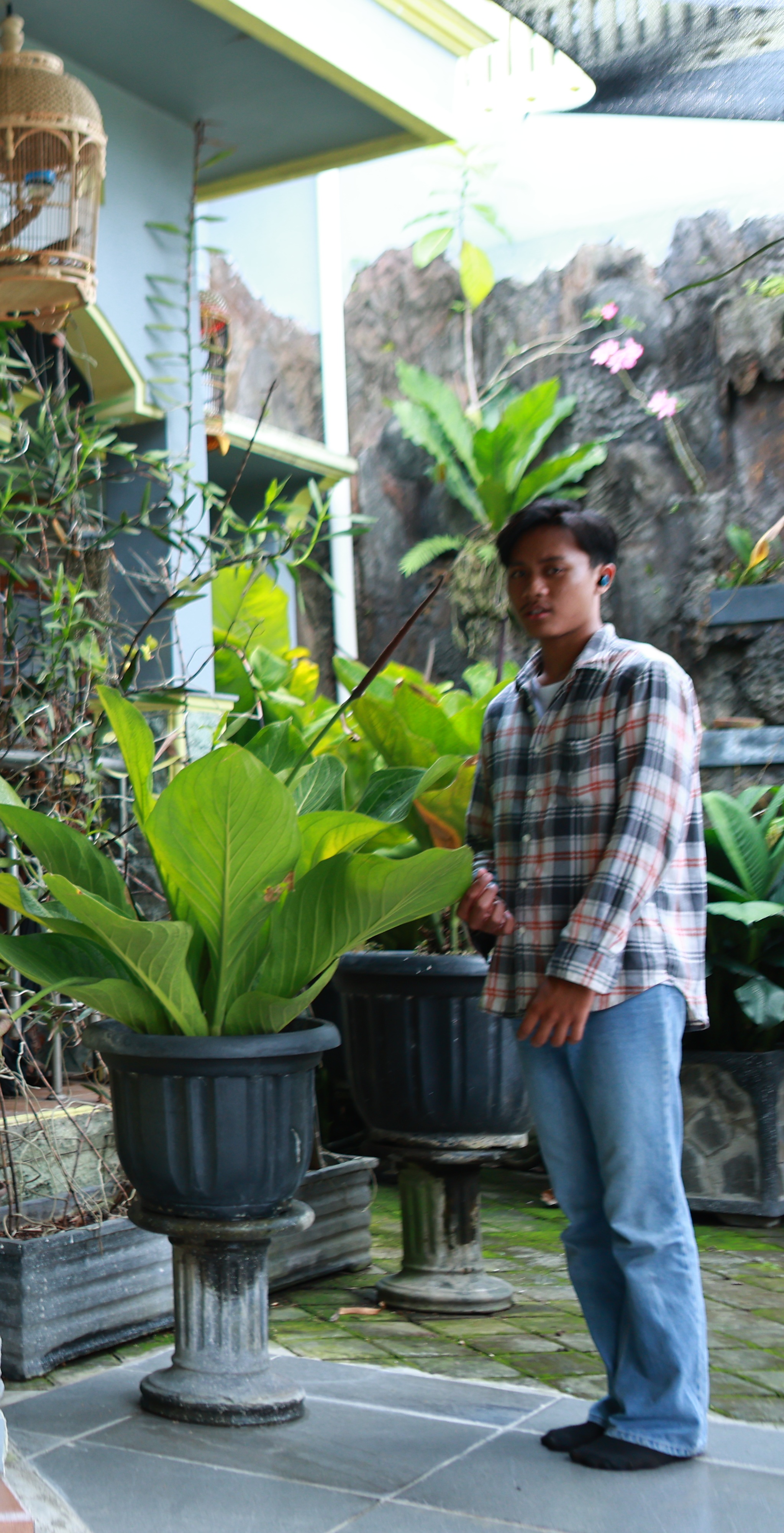 EF 24-70mm 2.8L Mark I USM has weird bokeh on corn... - Canon Community