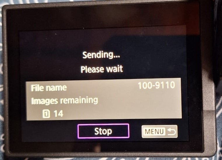 Solved: EOS R7 / image.canon - Trash button unusable due t... - Canon ...