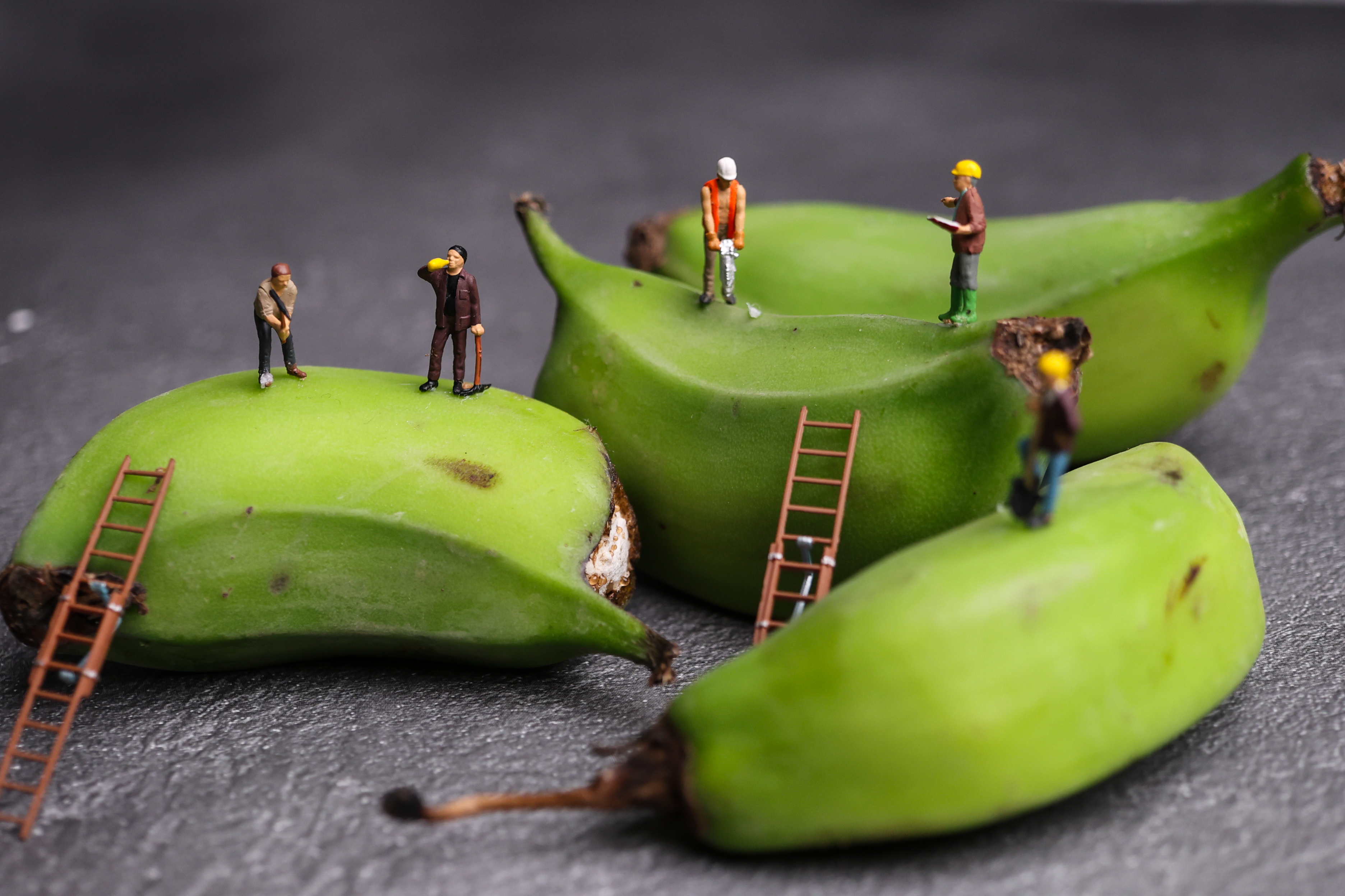 Miniature Shoot - Canon Community