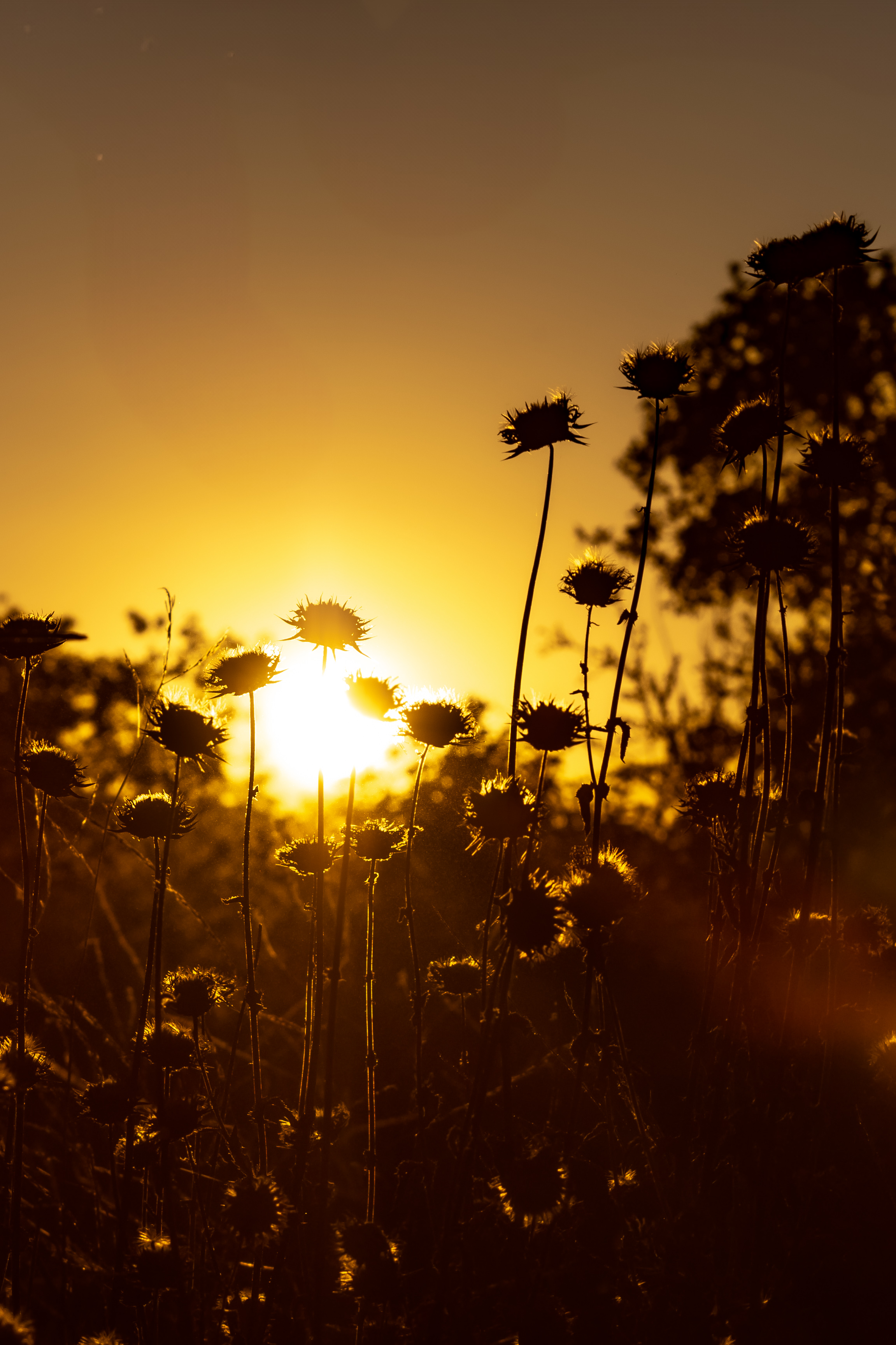 Canon EOS R6 m2 140mm (70-200mm f/2.8 IS II USM) - Canon Community