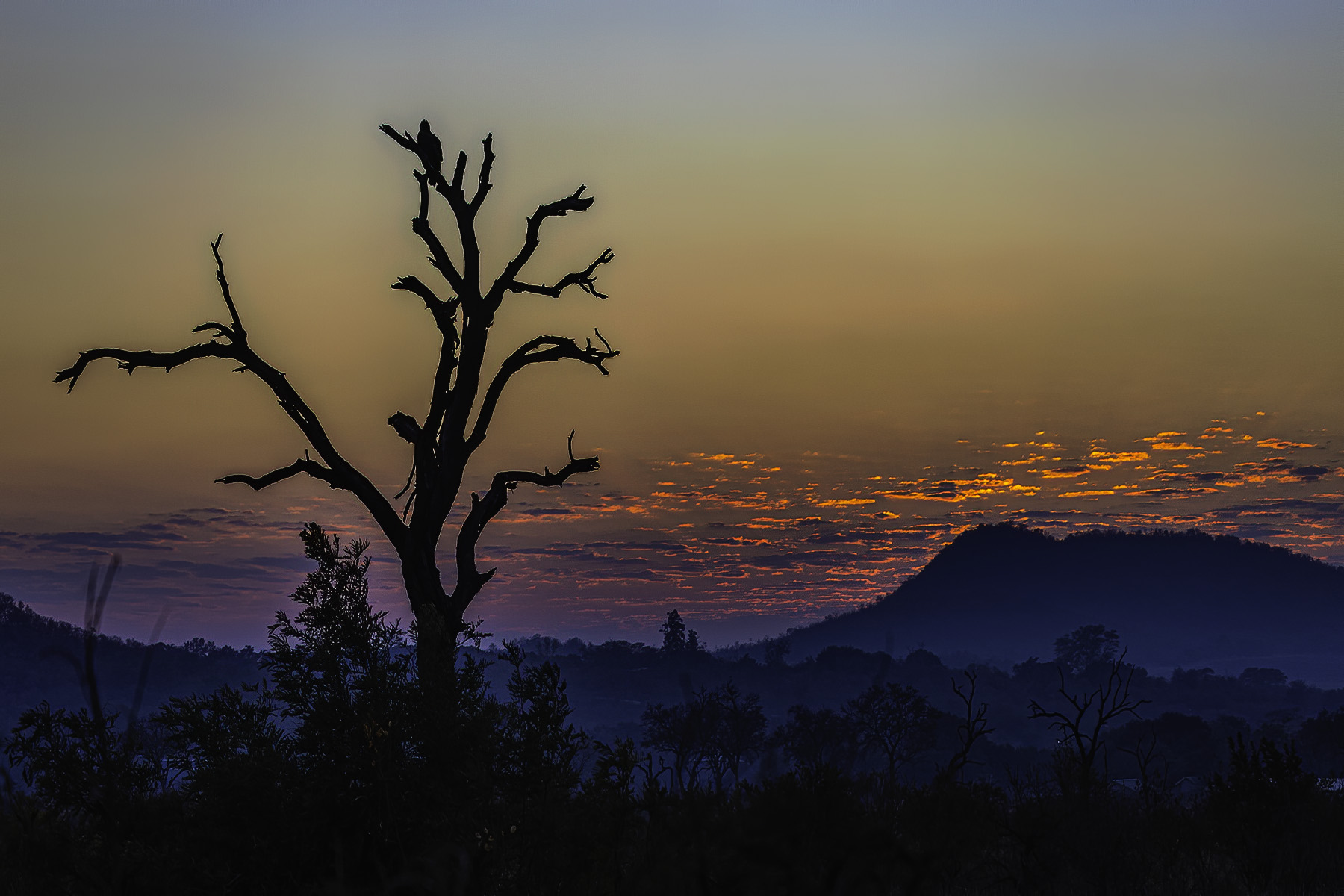 African Dawn. Canon R6MKII w.RF100-500 lens - Canon Community