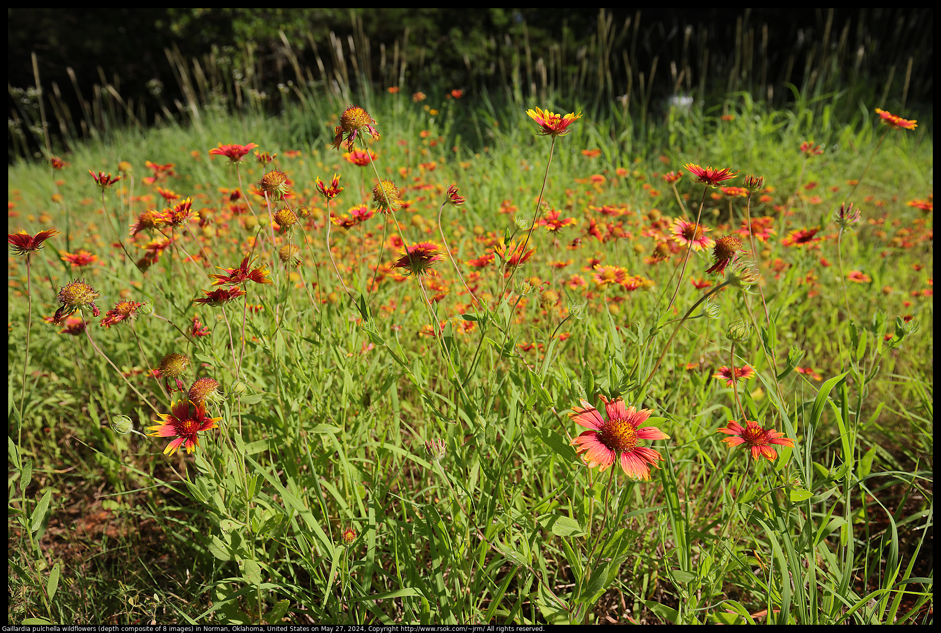 Solved: 50-frame focus bracketing speed for EOS R5 or EOS ... - Page 2 ...