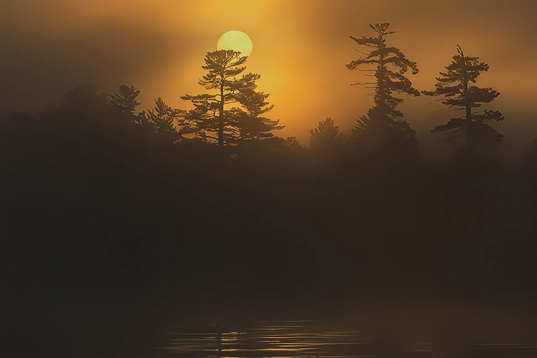 The sunrise and fog. Canon R6MKII w/CF70-200mm len... - Canon Community
