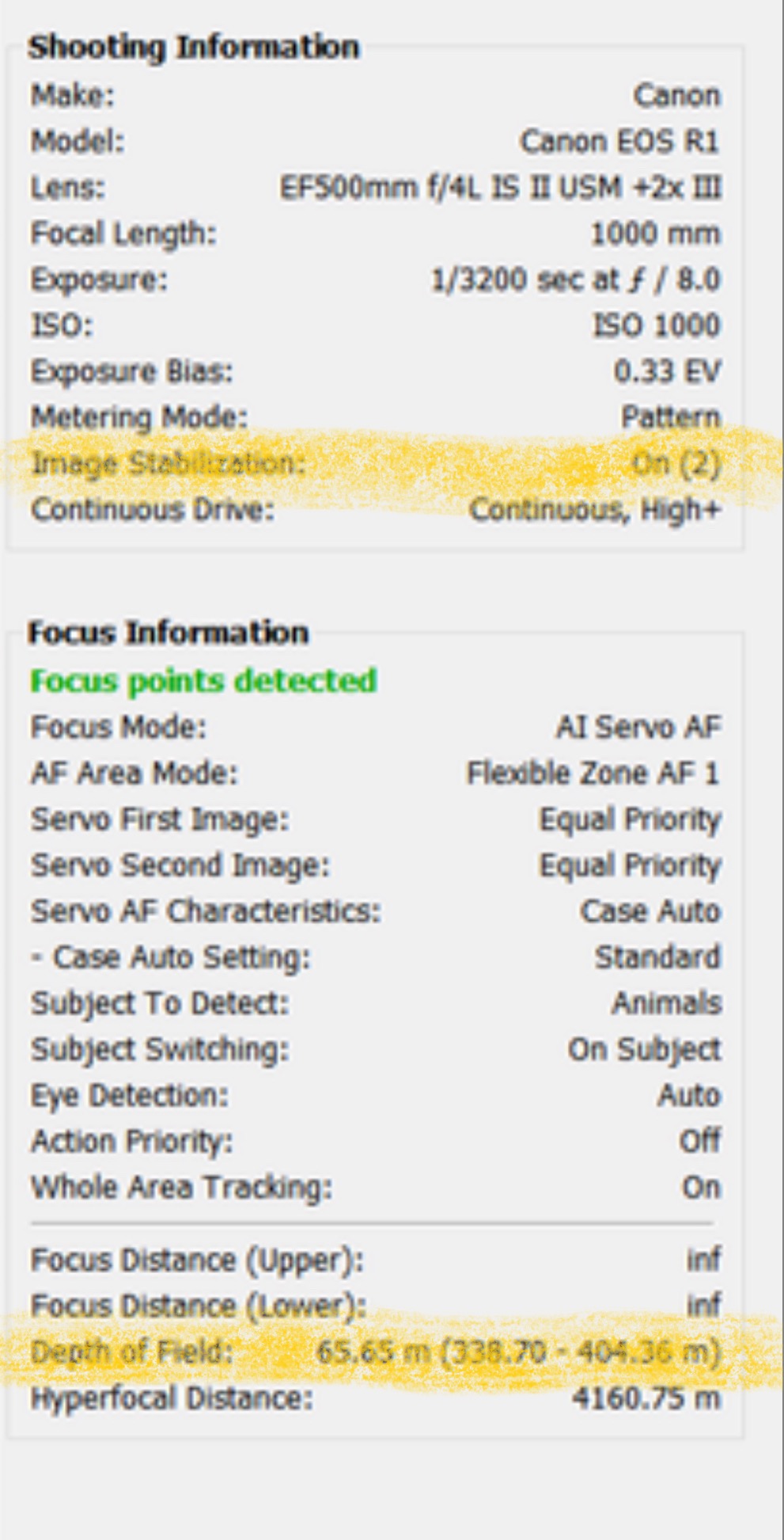 Soft Image R1 + 500L IS ii + 2X IS iii - Page 3 - Canon Community