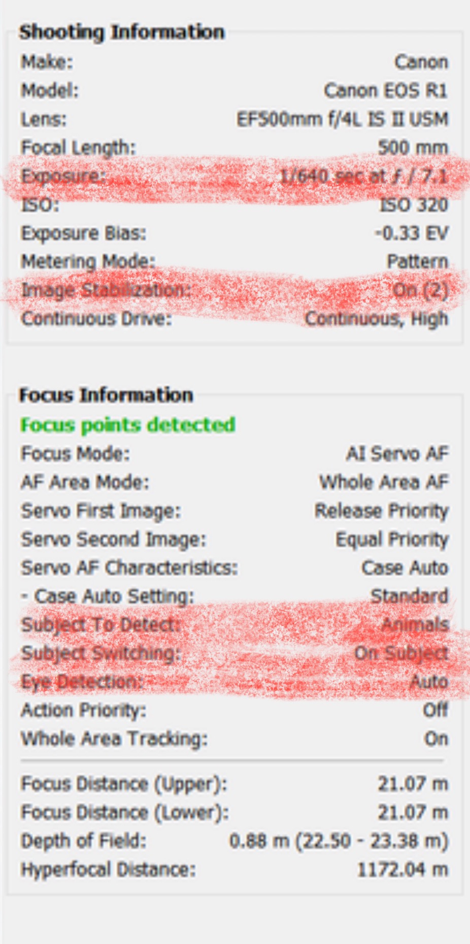 Why is the image not in focus - Gear: Canon R1 and... - Page 2 - Canon ...