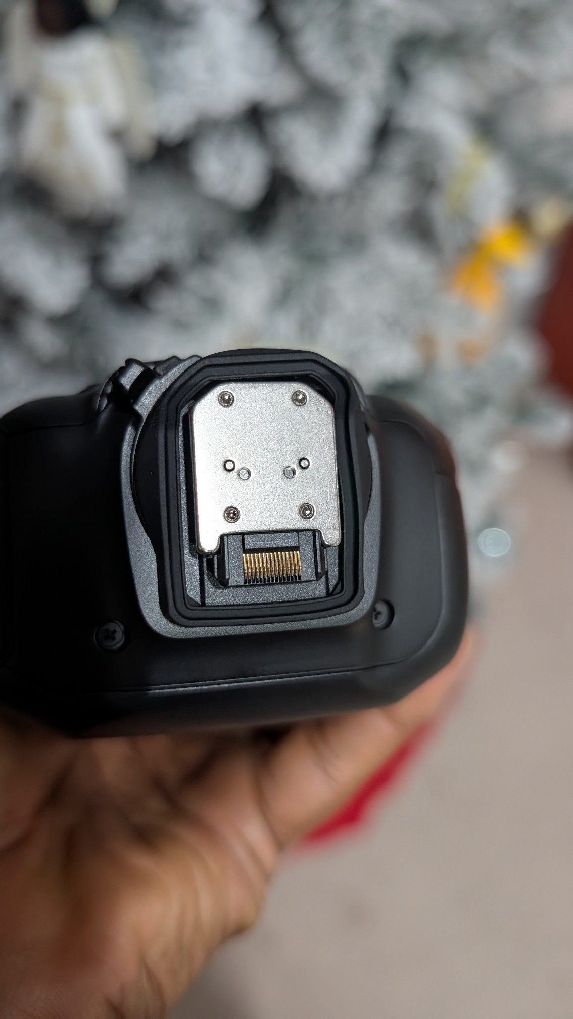 Solved: New Speedlite EL-5 Compatibility with EOS R5 and E... - Canon ...
