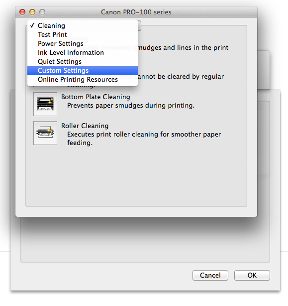 Canon Pro-100 Skuffing the backside of Matte print... - Canon Community