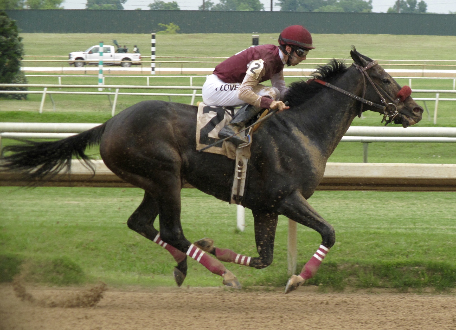 Want to upgrade to dslr to take horse racing actio... - Page 8 - Canon ...
